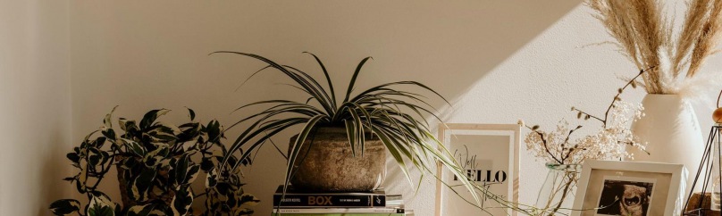 New Apartments For Rent in Washington DC | Onyx on First